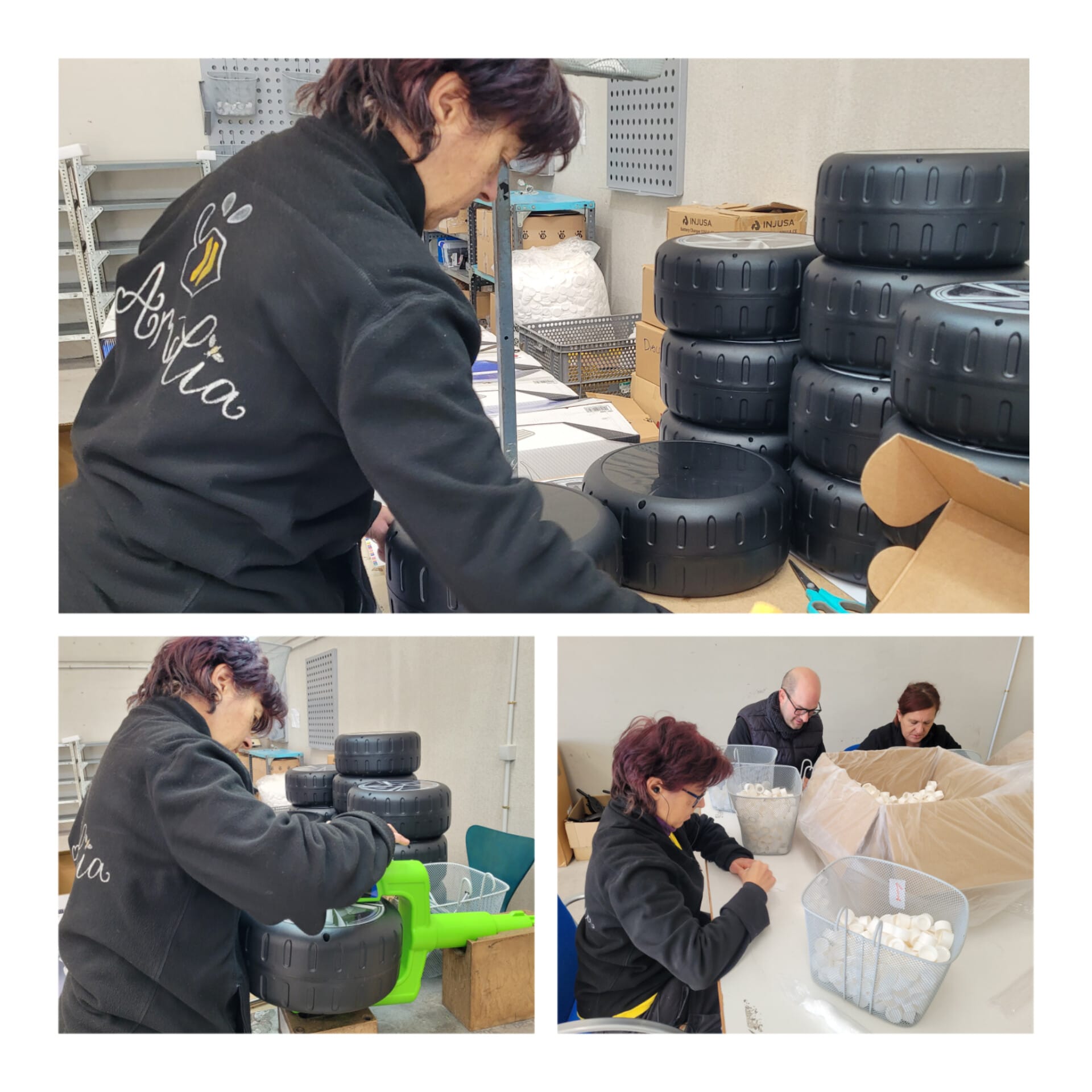 BENEFICIOS AL CONTRATAR SERVICIOS CON CEE - INSECTOS CEE
